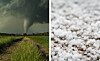 Severe Storms Ravage France: Tornadoes and Hail Damage Detailed