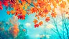 France Weather Alert: Temperatures Soar by 10C Amid Storm Caetano's ...